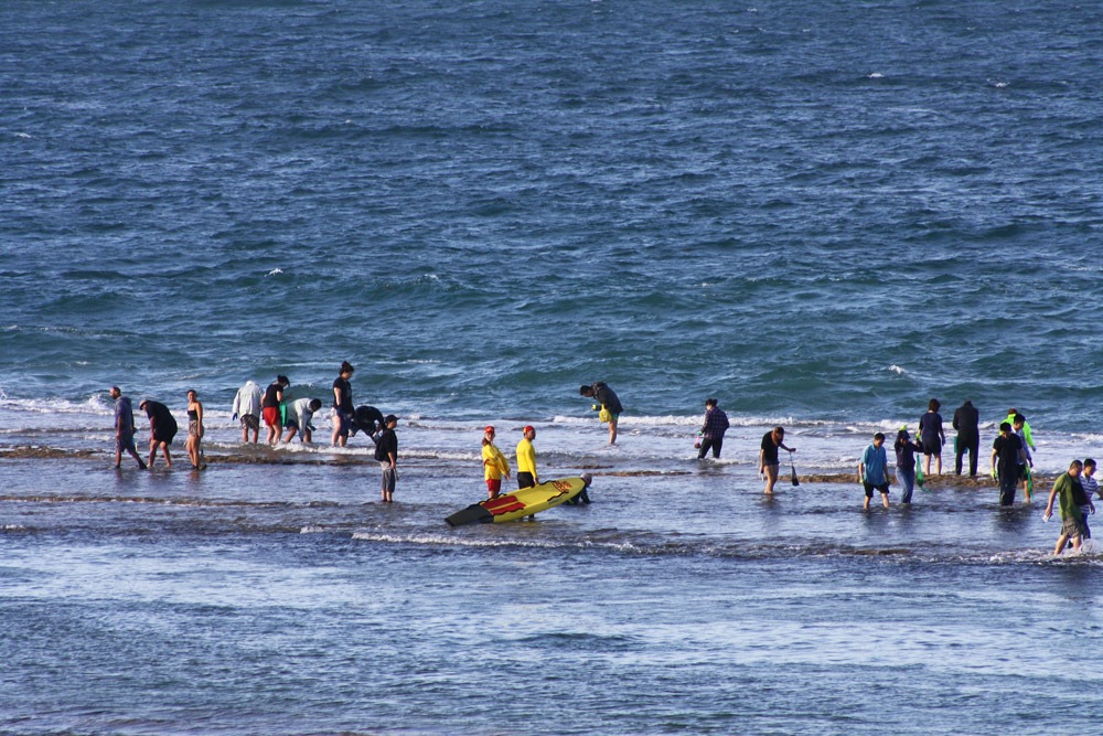 Patrol Membership | Yanchep Surf Life Saving Club